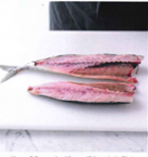 How to fillet a fish – Average Outdoorsman